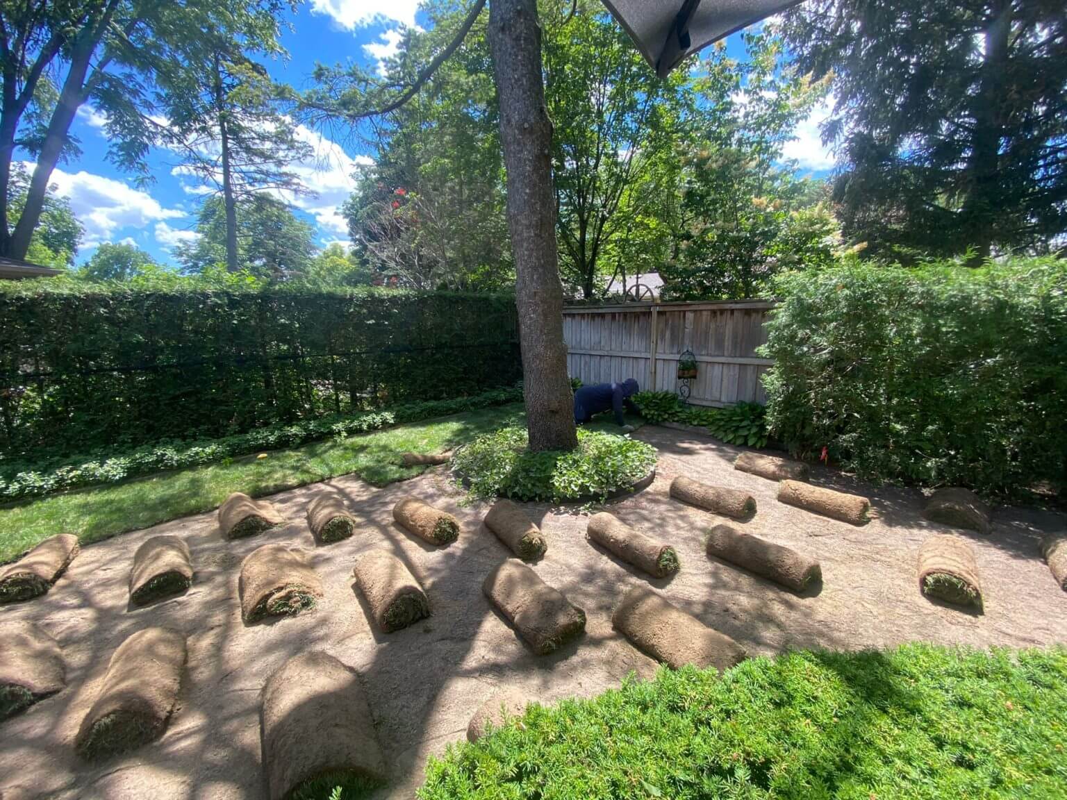 What is Sodding? - Gardening Made Easy