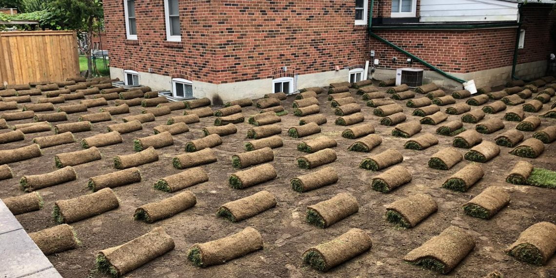 What is Sodding? - Gardening Made Easy