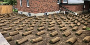 What is Sodding? - Gardening Made Easy