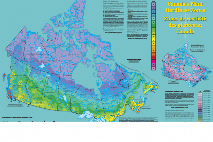 Gardening Zone Map Archives - Gardening Made Easy
