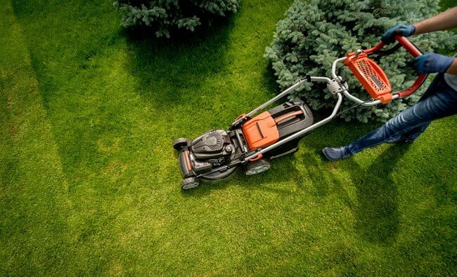 Who Invented The Lawn Mower? - Gardening Made Easy